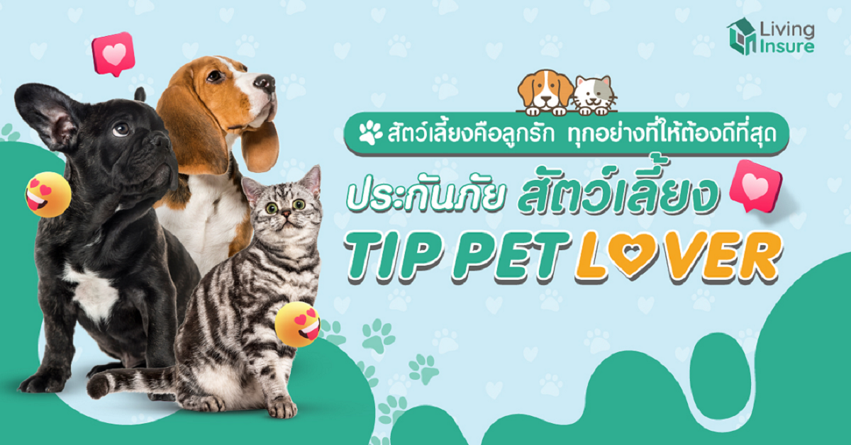 เมื่อสัตว์เลี้ยงคือลูกรัก เหมือนคนในครอบครัว ทุกอย่างที่ให้ต้องดีที่สุด ด้วยประกันภัยสัตว์เลี้ยง ...