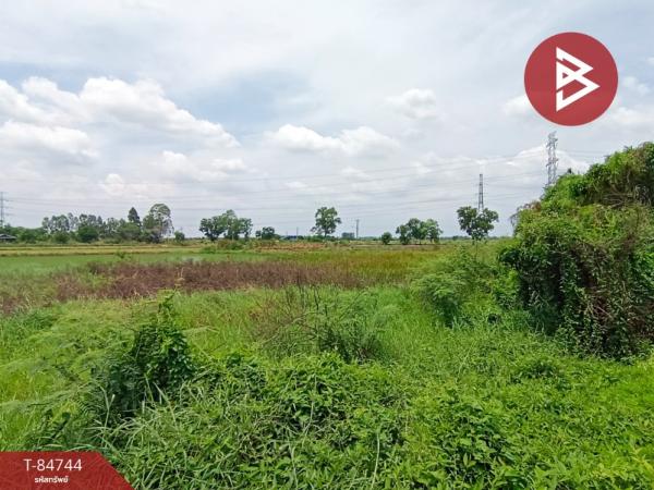 ขายที่ดิน เนื้อที่ 1 ไร่ 2 งาน วังน้อย พระนครศรีอยุธยา | Livinginsider